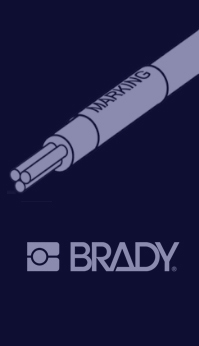 Identificación - Interflex